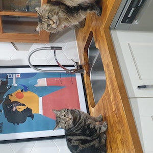 Pyramid of Cats, Piramida Kotów, Original Polish Poster, Plakat, Koty ...