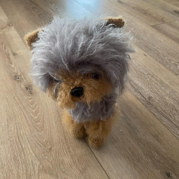 Cane Corso Dog Crochet Pattern - Etsy