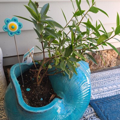 Coe 96 Flower: Frolic 1 Oz Murrini Murrine Millefiori Vitrigraph Cane ...