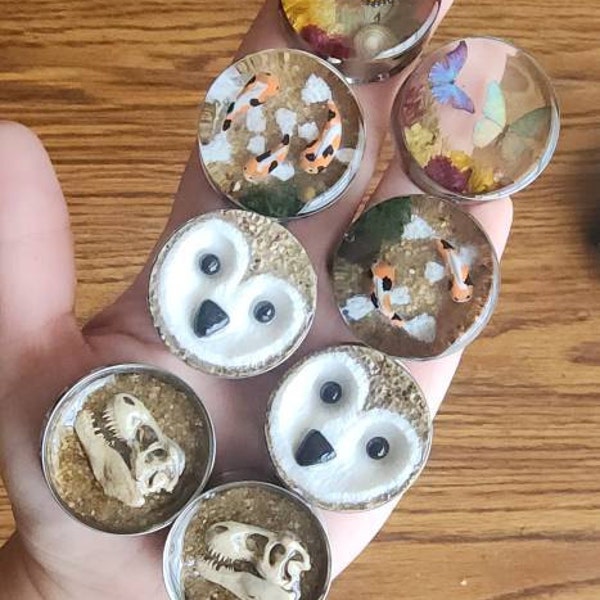 Owl Head Plugs Polymer Clay in a Stainless Steel Tunnel, Miniature ...
