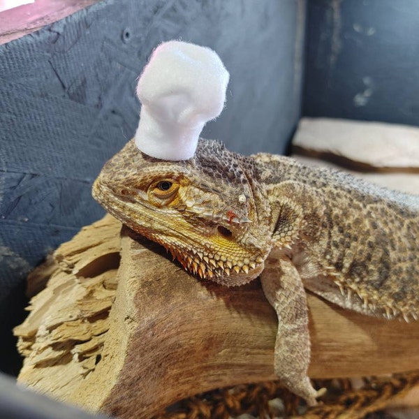 Super Mini Chef Hat - Etsy