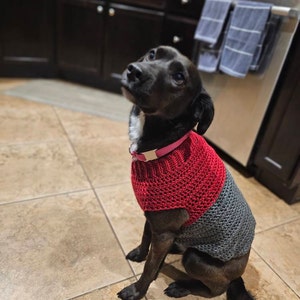 Ledger Sweater CROCHET Pattern Beginner Friendly Sweater for Dogs in 5 ...