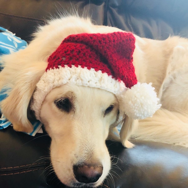 Santa Hat for Dogs, Dog Santa Hat, Holiday Dog Hat, Christmas Hat for ...