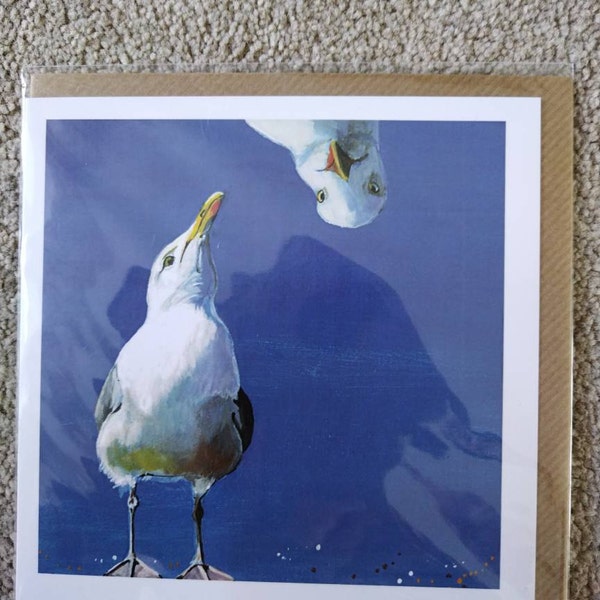 Blank Card - Seagull Art Greetings Cards - Funny, Humour, Birthday ...