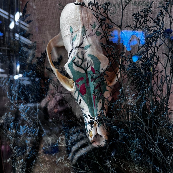 Blue Preserved Caspia; Preserved Caspia, Dried Flowers Bunch, Dried ...