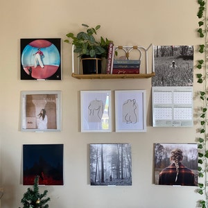 Album of the Day Wall Mounted Vinyl Record Display Shelf | Etsy