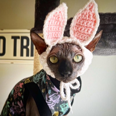 Bunny Rabbit Ear Hat for Cats - Etsy