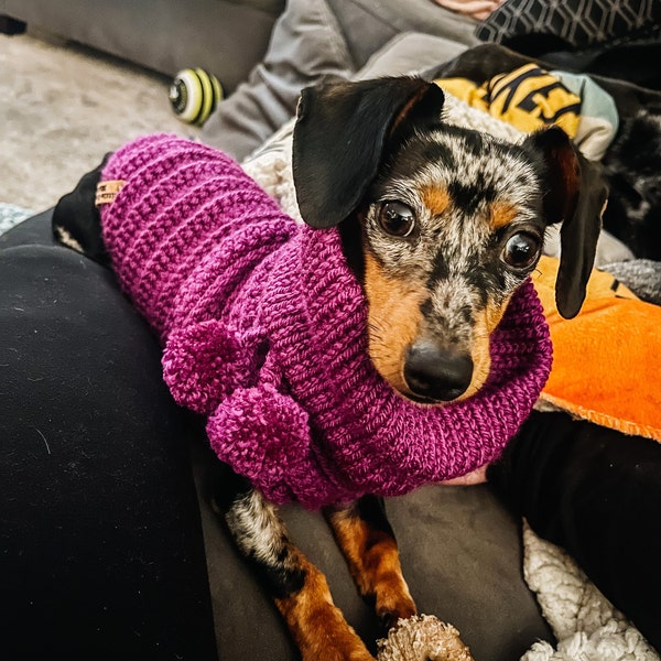 Miniature Dachshund/ Sausage Dog Crochet Coat / Jumper / Sweater - Etsy UK