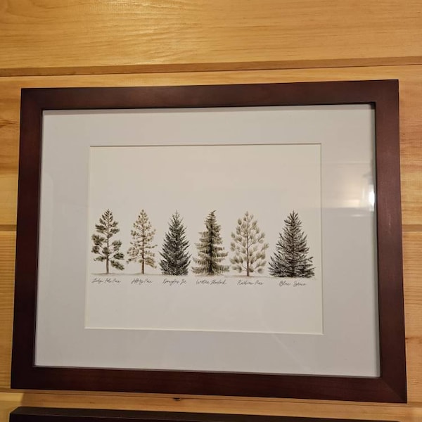 Pine Cone Chart Print - Watercolor Pine Cones, Pine Cones, Nature Print ...