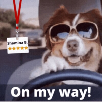 Personalized Dasher Dog Animated on My Way Text, Custom Delivery Driver ...
