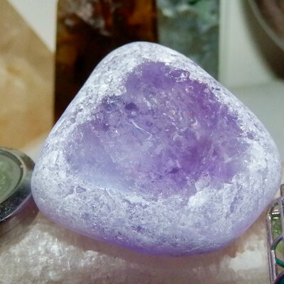 Rare Piece of Pacific Fission Worm Colony, False Brain Coral Rock ...