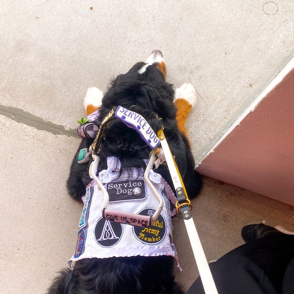 Starcatcher A Logo Tribute Patch Greta Van Fleet - Etsy