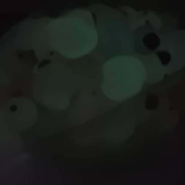 Eggcelent Funny Egg Enamel Pin | Cute Egg Pin Badge, Brooch Gift for a ...