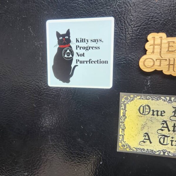 Black Cat AA Medallion Tshirt Alcoholics Anonymous Recovery Sponsor ...