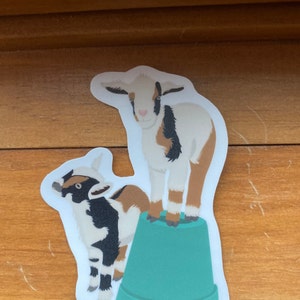 Fully Editable Horse Stall ID and Feeding Schedule Cards Canva - Etsy