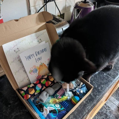Personalised Cat Birthday Gift Box, Gotcha Day Presents, Pet ...