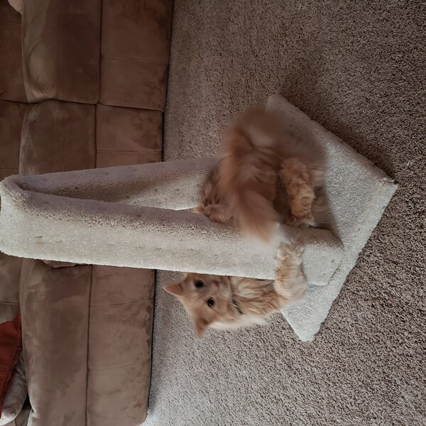 A-frame Cat Scratch Post/scratching Post/cat Scratcher/kitten/scratcher ...