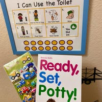 Potty Training Visual Schedule and Reward Chart, Toilet Sequence for ...