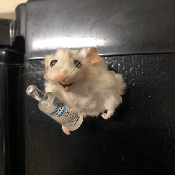 XXS Little Baby Coffin Mouse Adorabe Cute Mouse in a Tiny Open Casket ...