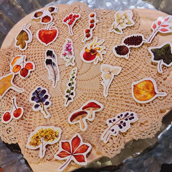 Kamio ADULT VISUAL DICTIONARY Stickers, Otter Seal Sea Lion Stickers ...