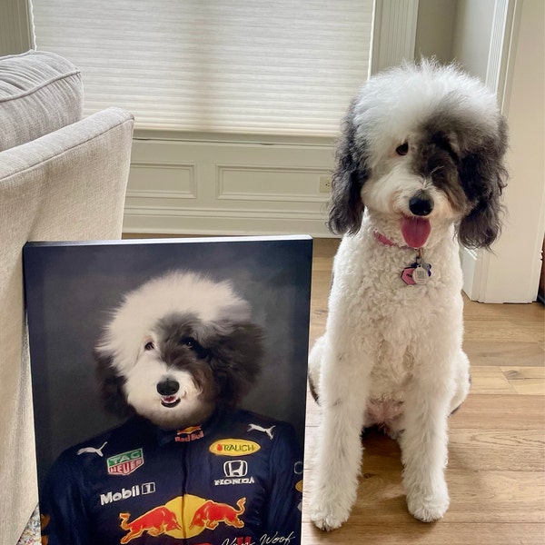 Red Ball, Formula Racing Car, F1 Driver Team Pet Portrait, Custom Dog ...
