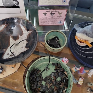 Make Yer Own Shark Art Kit Reef Shark 8x10 - Etsy