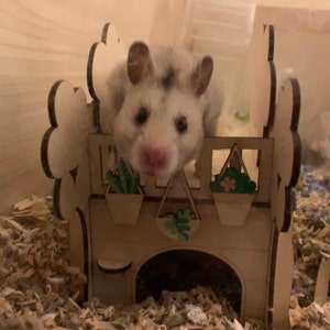 Custom Hamster Hideout/ Hamster Treehouse With Level/ Hamster Castle ...