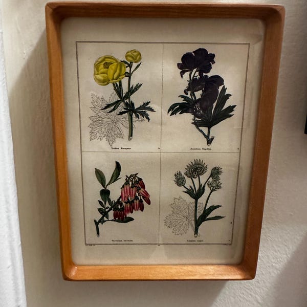 Stained Glass Raven Diamond Painting Kits for Adult Full Drill 5D DIY ...