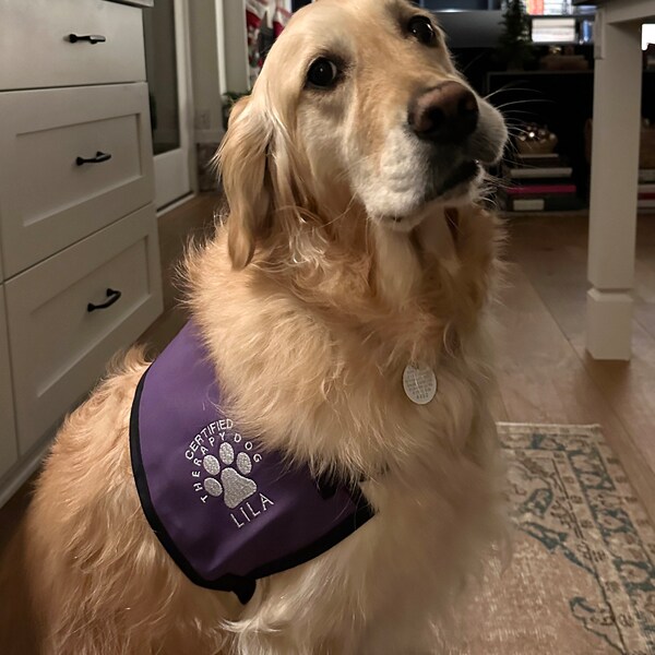 Emotional Support Cat Vest - Etsy