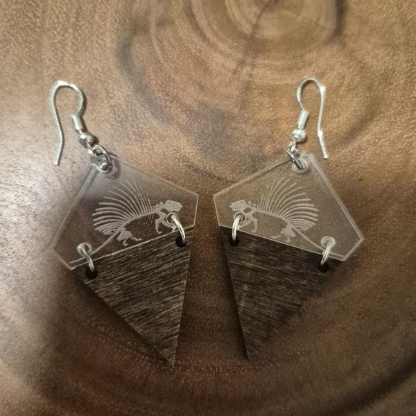 Centipede - Scolopendra - Centipedes - Invertebrates - Arthropod ...