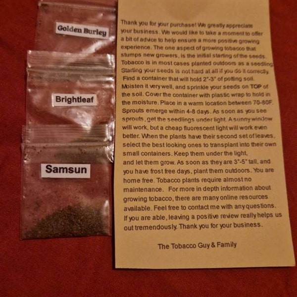 Chewing Tobacco Seed Pack- 3 Varieties for Chew & Dip 3,000+ Seeds - Etsy
