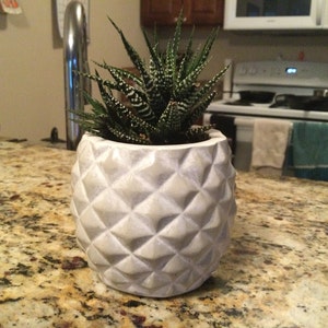 Super Mario Planter Color Gamer Succulent Planters Concrete Warp Pipe ...