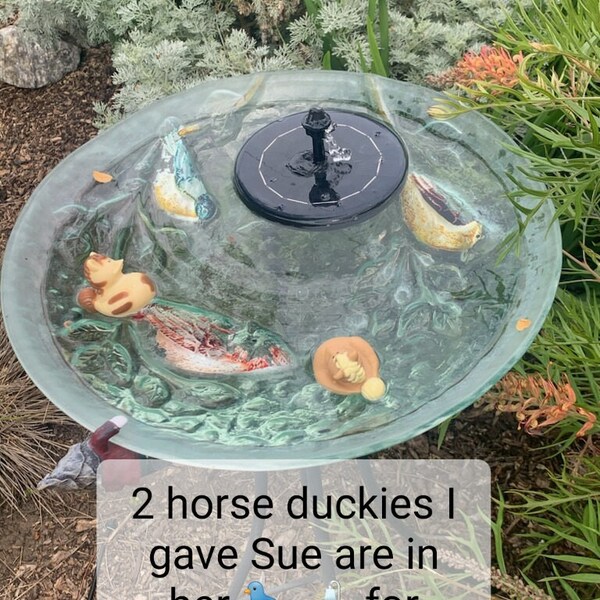 Highland Cow Themed Rubber Duck Ducks - Brown Tan Black - Farmer ...