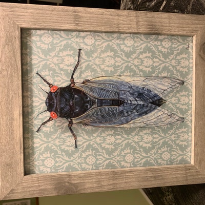 Cockroach Art Print Art Nouveau Wallpaper, Home Decor, Roach Painting, - Etsy