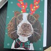 Red/golden Cockapoo Christmas Card - Etsy