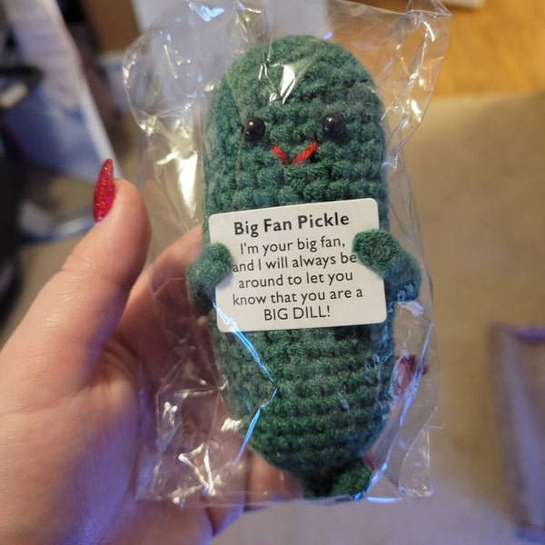 Emotional Support Pickle,positive Pickle,big Fan Pickle,handmade ...