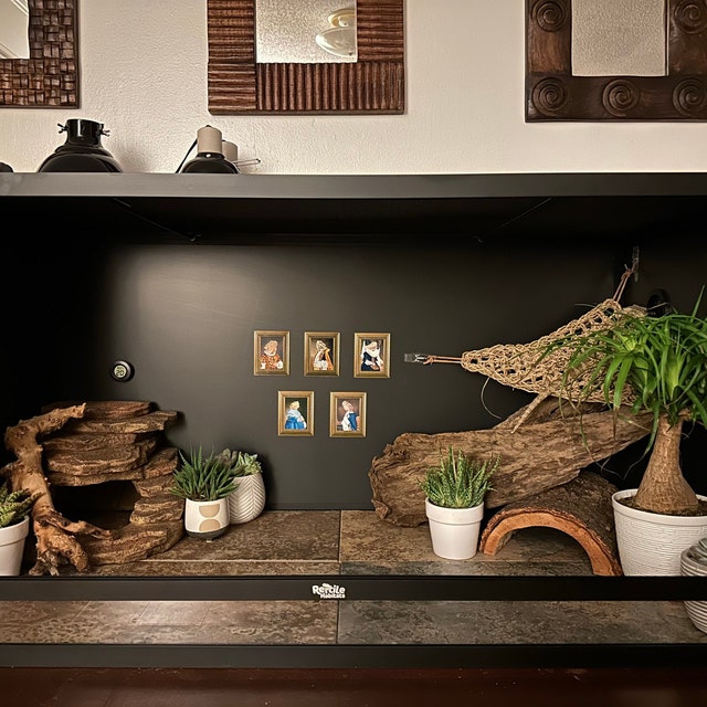 OldWorldPetPortraits - Etsy