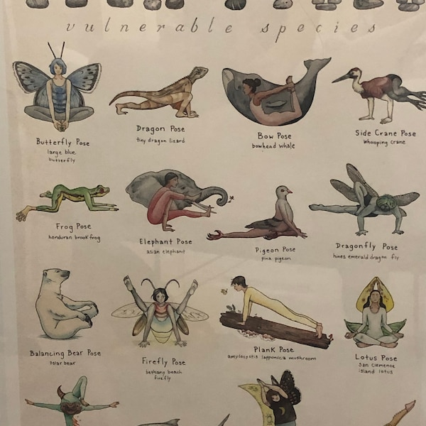Vulnerable Species Yoga Poses Poster - Etsy
