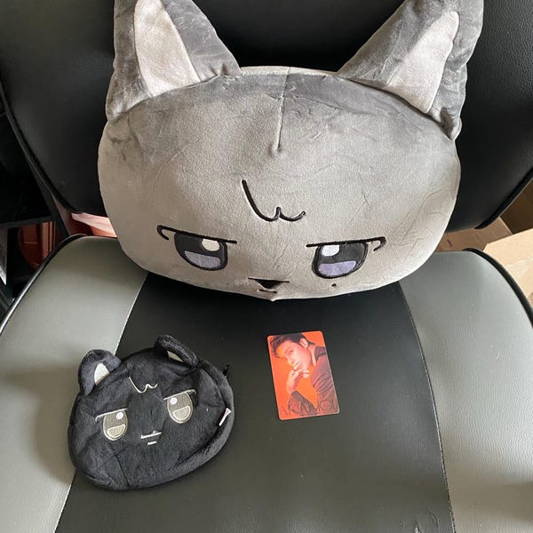 Skzoo, Stray Kids 20oz Metal Tumbler With Reusable Straw, Personalized ...