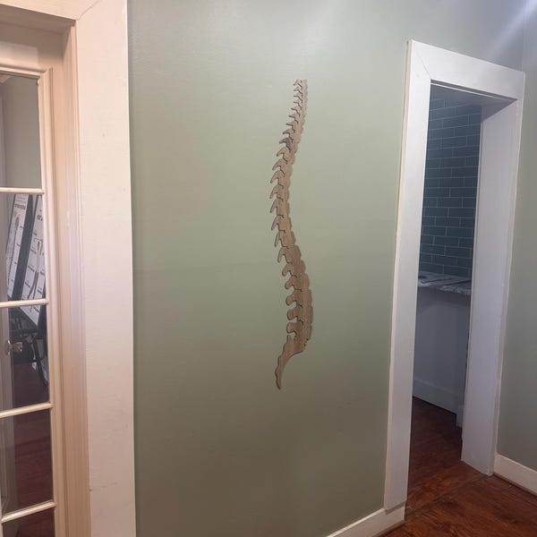 Spine Wall Decor, Spiral Cord Wood Art, Human Spine Office Wall Art ...