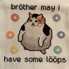 Brother May I Have Some Loops Cat Meme Funny, Modern, Subversive Cross ...