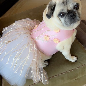 Star Spangled Girl Dog Harness Dress Xxsmall to 4xlarge Dog - Etsy