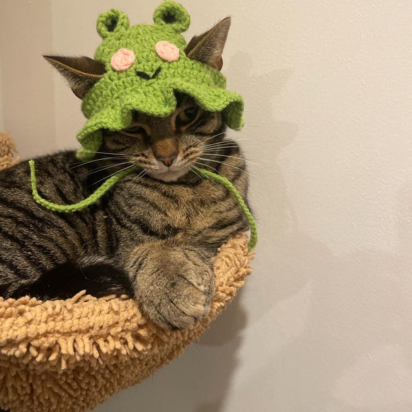 Cat Birthday Outfit | Crochet | Knitted | Letterbox Gift | Handmade ...