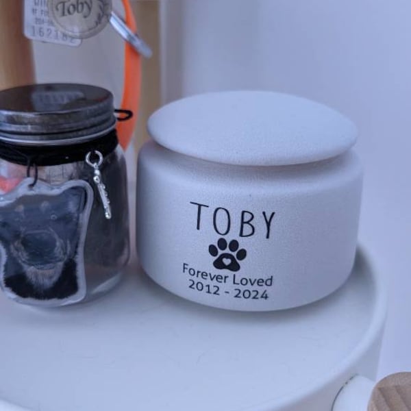 Custom Pet Paw Urn Cat With Name and Date,modern Pet Ashes Cremation ...