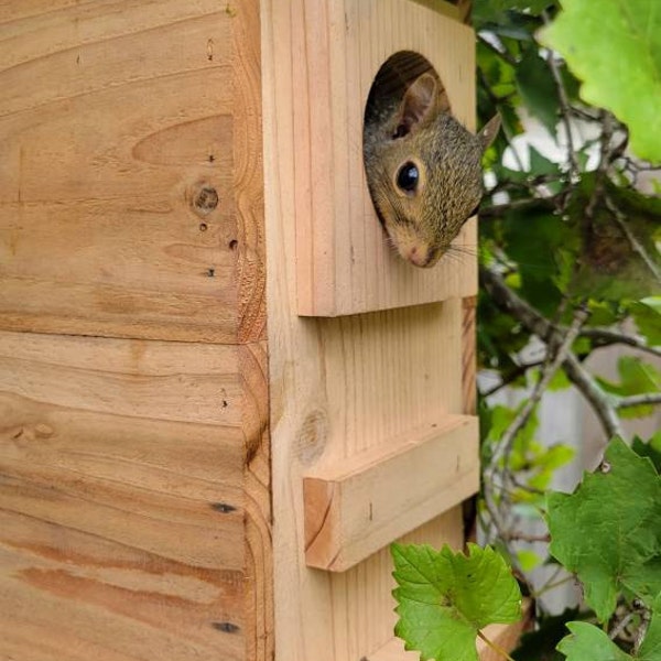 Extra Large Squirrel House, Squirrel House, Cedar Squirrel House ...