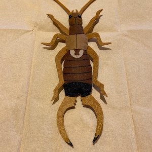 Felt Weevil Realistic Toy Felted Weevil Young Naturalist - Etsy