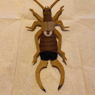 Felted Bug Toy Realistic Bugs Toys From Felt Realistic Earwig Felted ...