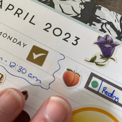 Instant Download Ms. Rachel, Ms. Rachel University Svg File, Songs for ...