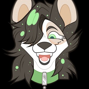 Complex Furry / Fursona Reference Sheet - Etsy