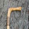 Red Oak Wood Cane With Natural Handle, Short Staff, Walking Stick ...